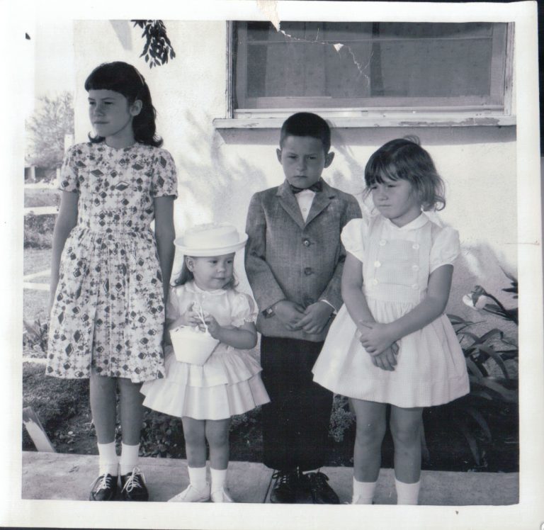 Creating Fictional Families - Vannetta Chapman