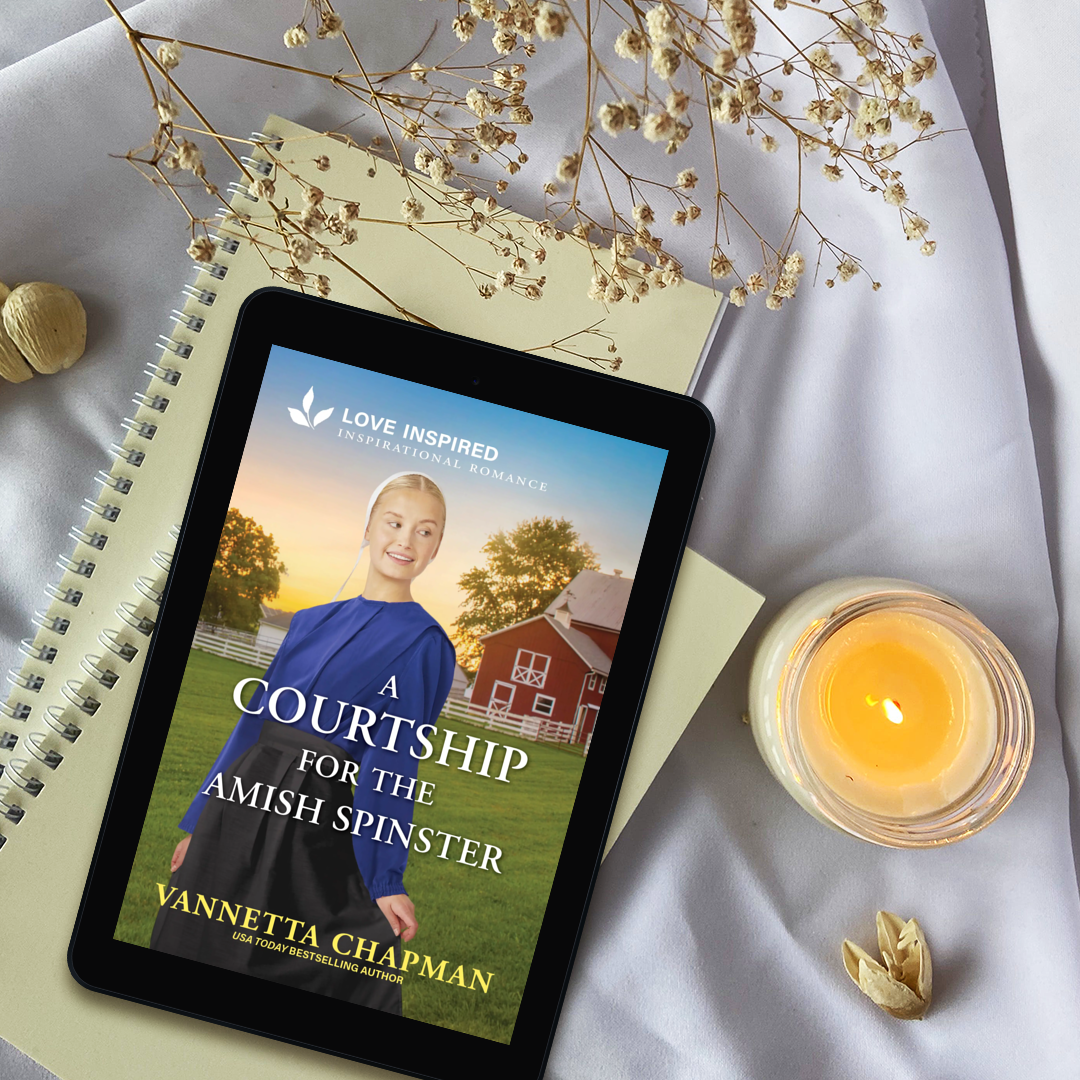 A New Amish Romance - Vannetta Chapman